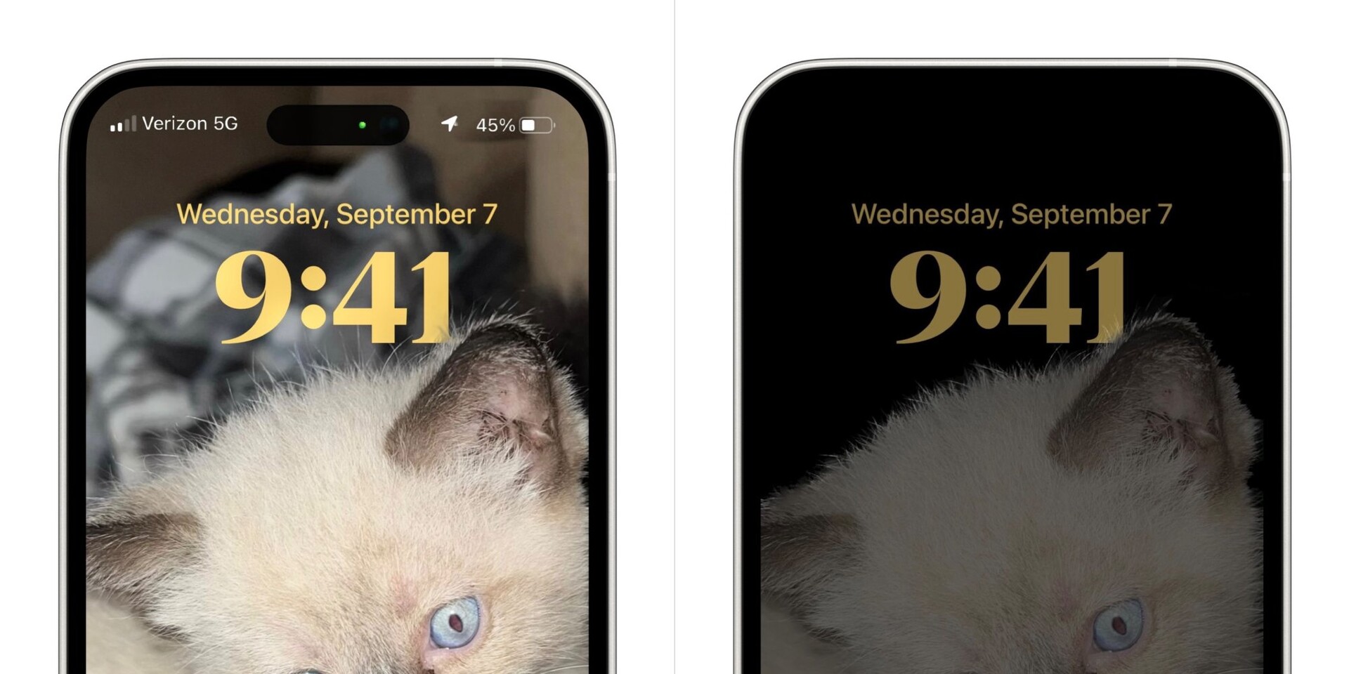 Apple il display always-on dell'iPhone 14 Pro visualizzato in mockup presumibilmente accurati ...